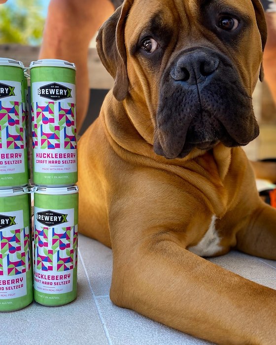 Home [breweryxsd.com]