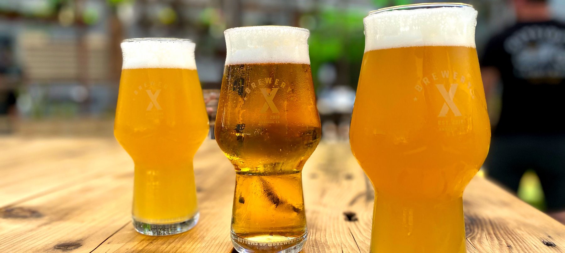 Home [breweryxsd.com]